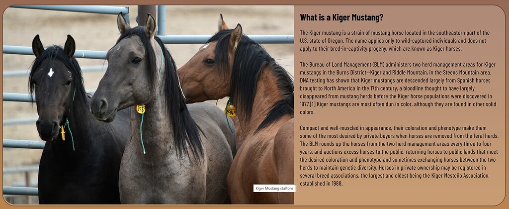 Adding Anchor Link To An Image Causes Extra Space Html Css The Freecodecamp Forum