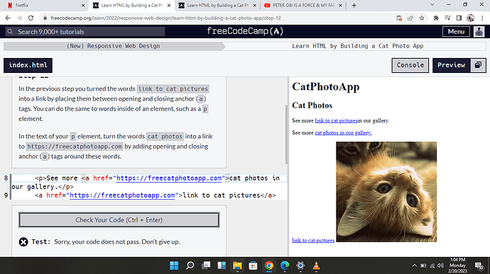 Learn HTML By Building A Cat Photo App Step 12 HTML CSS The FreeCodeCamp Forum