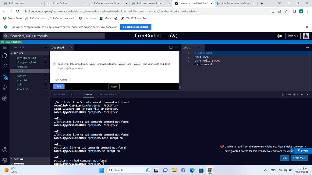 Need help with advanced bash - Backend Development - The freeCodeCamp Forum