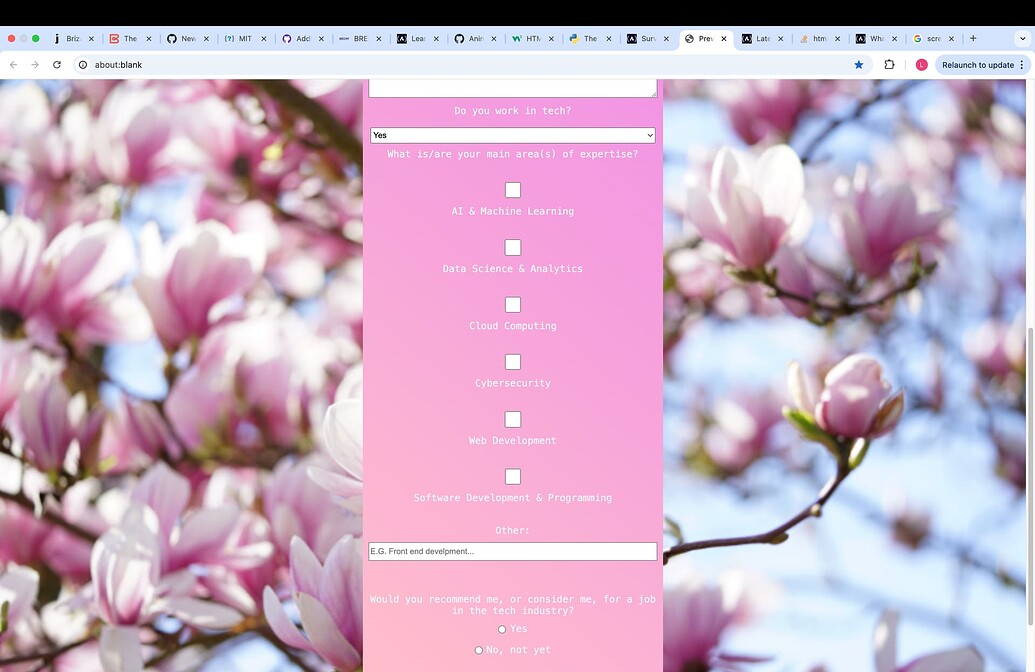 Survey Form - Build a Survey Form - HTML-CSS - The freeCodeCamp Forum