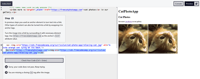 Learn HTML by Building a Cat Photo App - Step 15 - HTML-CSS - The ...