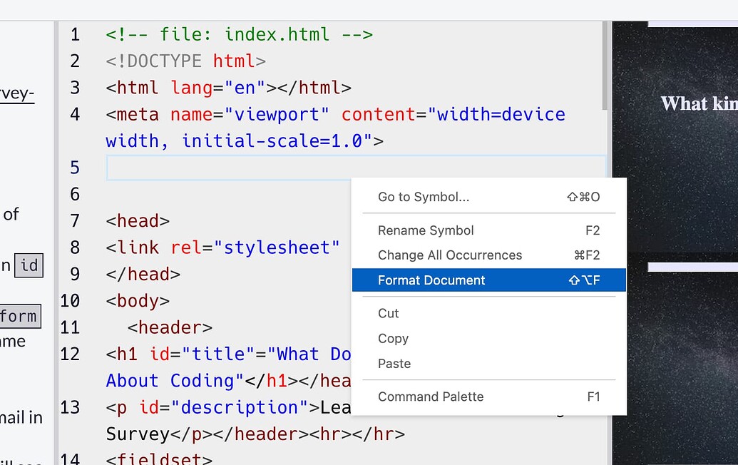 Survey Form - Build a Survey Form - Code Feedback - The freeCodeCamp Forum