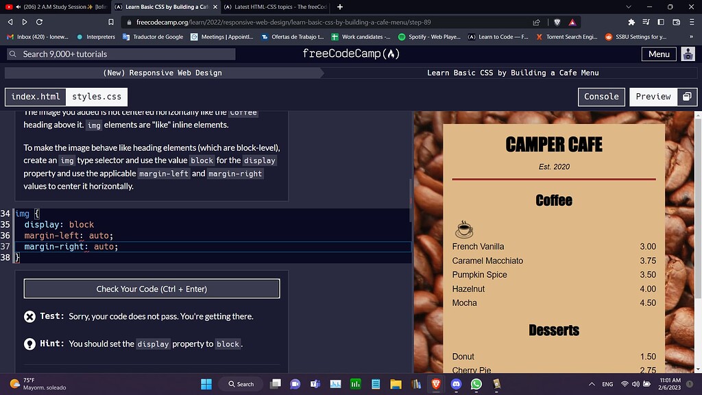Is this a bug in the solutions? - HTML-CSS - The freeCodeCamp Forum
