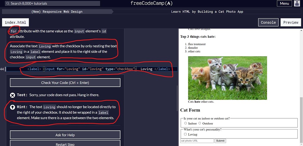 Learn HTML by Building a Cat Photo App - Step 55 - HTML-CSS - The freeCodeCamp Forum