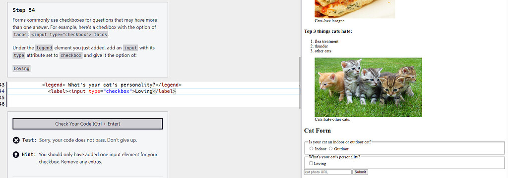 The cat website HTML problem - HTML-CSS - The freeCodeCamp Forum