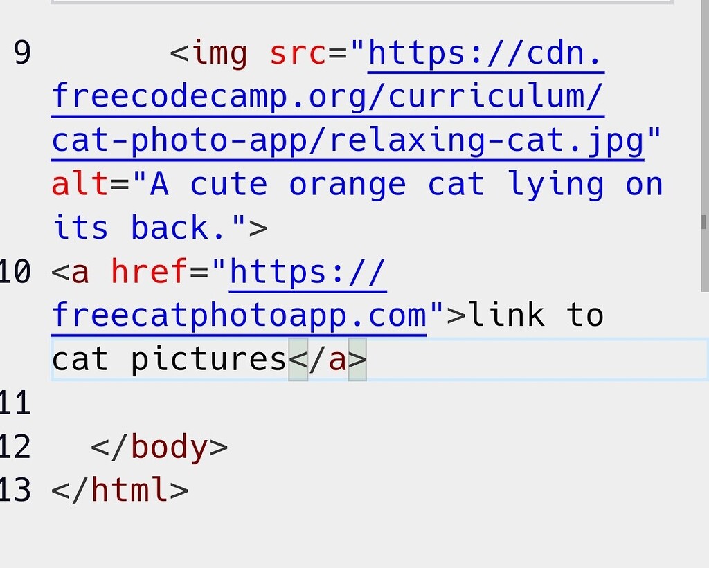 Leccion 11 Aprende HTML construyendo una aplicación de fotos de gatos ...