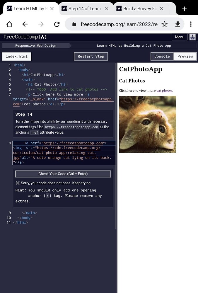 Step 14 of Learn HTML - HTML-CSS - The freeCodeCamp Forum