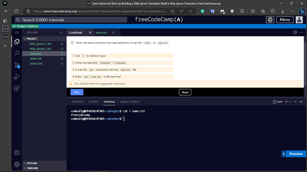 Learn Advanced Bash by Building a Kitty Ipsum Translator - Build a Kitty Ipsum Translator ...