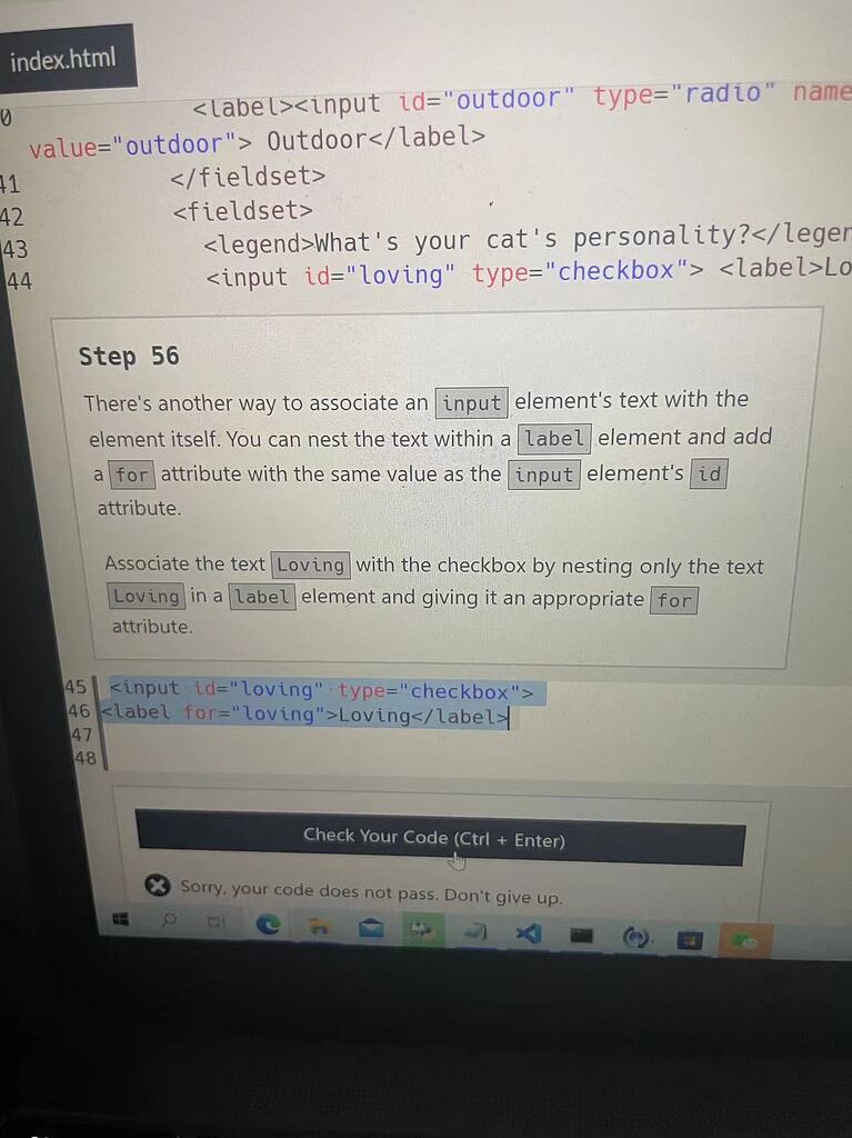Building a cat photo app - HTML-CSS - The freeCodeCamp Forum