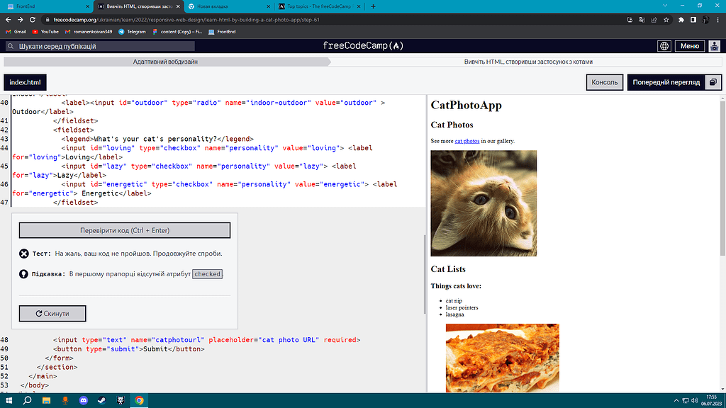 Learn HTML by Byilding a Cat Photo App - Step 61 - HTML-CSS - The freeCodeCamp Forum