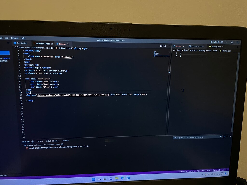HTML code dienst show picture in vs code - HTML-CSS - The freeCodeCamp ...