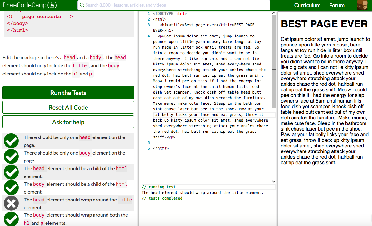 Head Element Should Wrap Around The Title Element HTML CSS The 