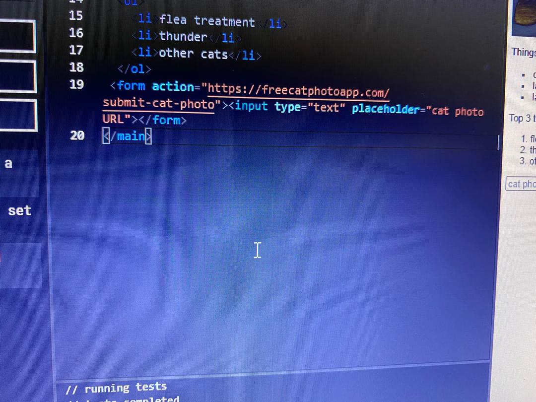Creating a form element properly - Page 2 - HTML-CSS - The freeCodeCamp Forum