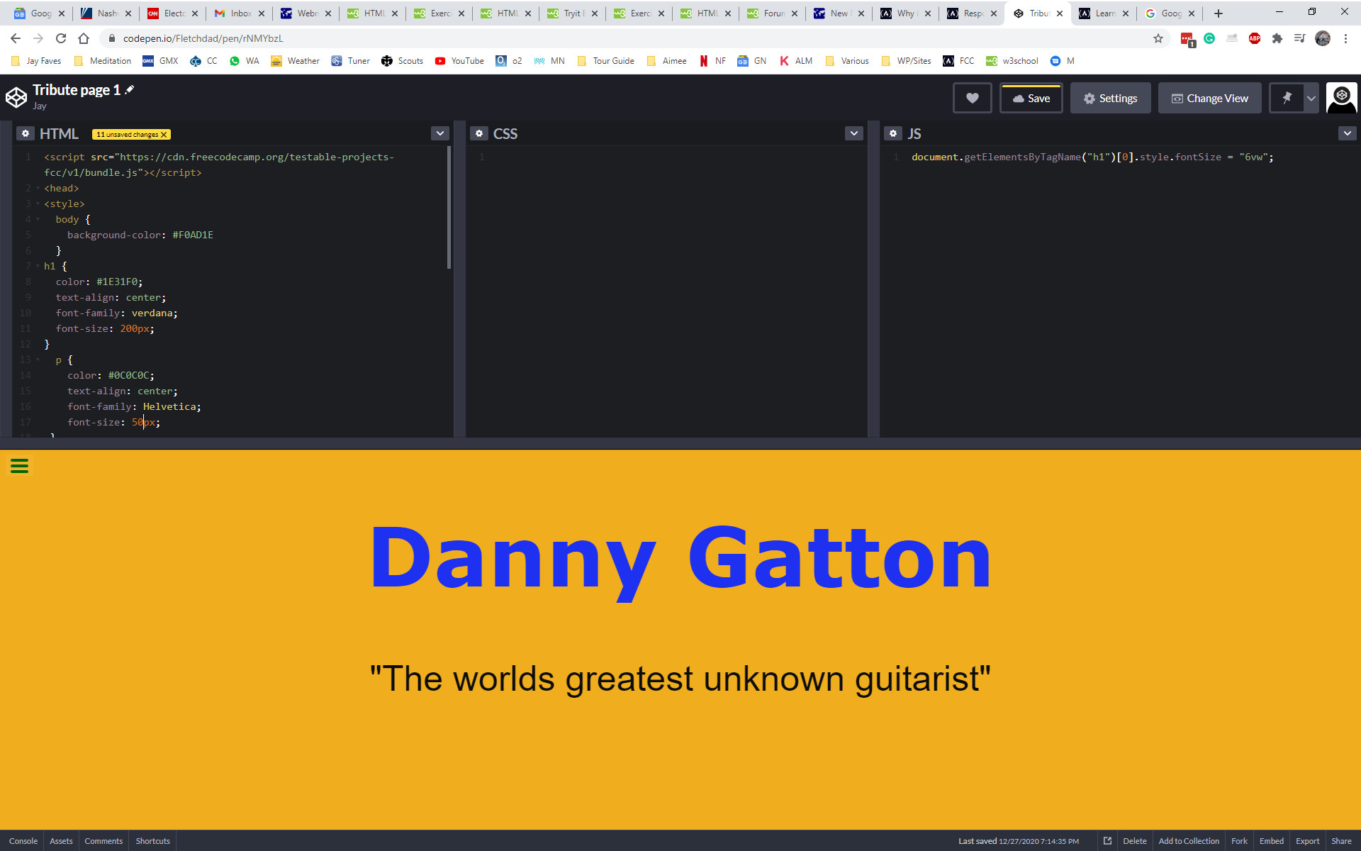 Why Is My Font size Not Working In CodePen HTML CSS The 
