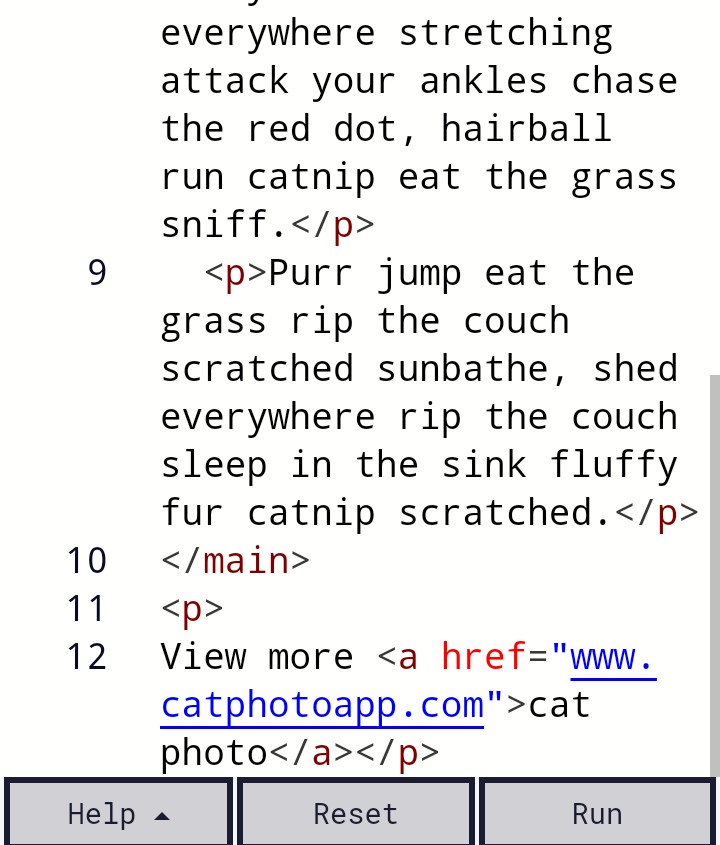 How do I put my anchor - HTML-CSS - The freeCodeCamp Forum