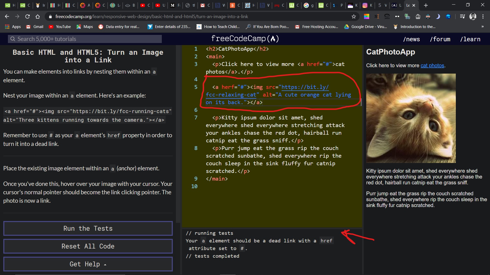 Https www freecodecamp learn responsive web design basic html and html5 turn an image into 