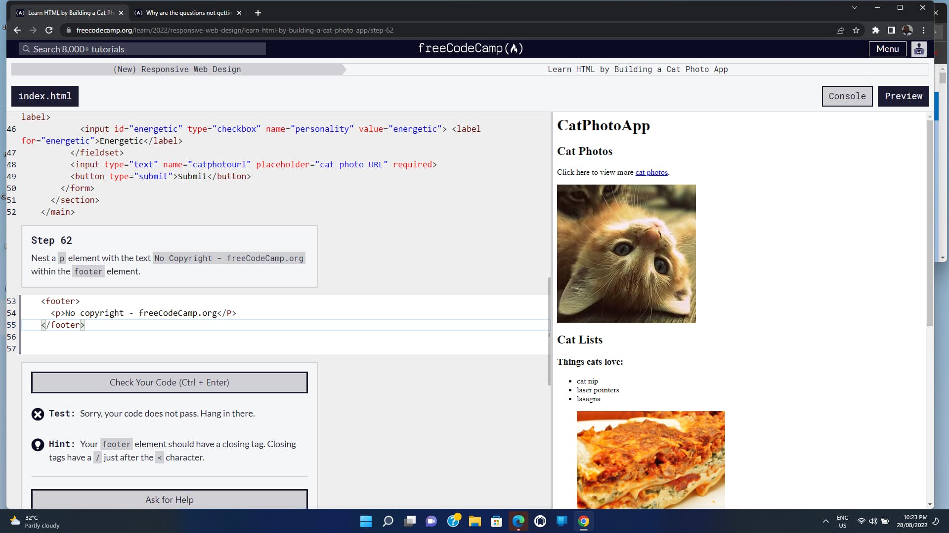 Step 62 Learn HTML By Building A Cat Photo HTML CSS The 