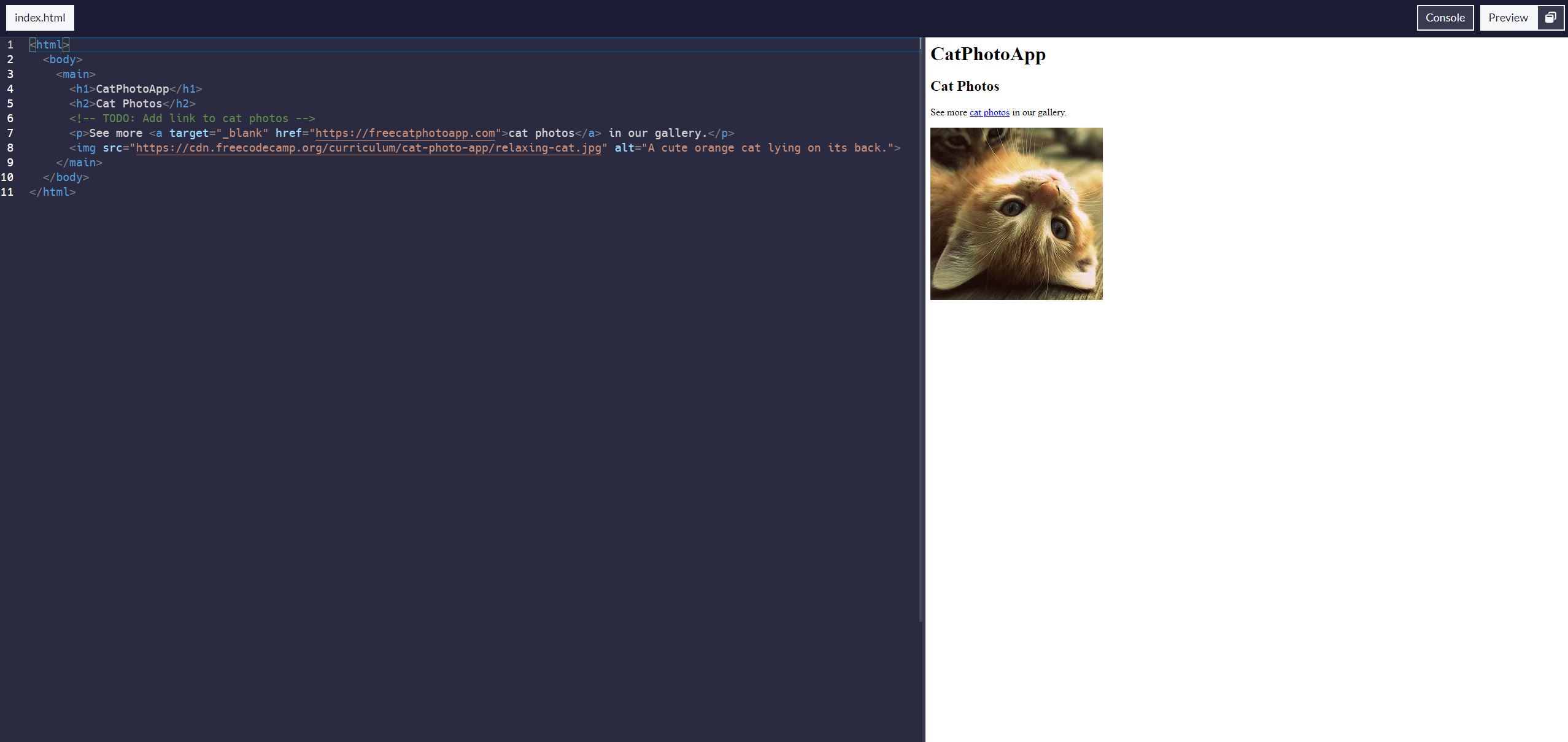 How connect VS CODE with FCC - The freeCodeCamp Forum How connect VS CODE with FCC - The freeCodeCamp Forum