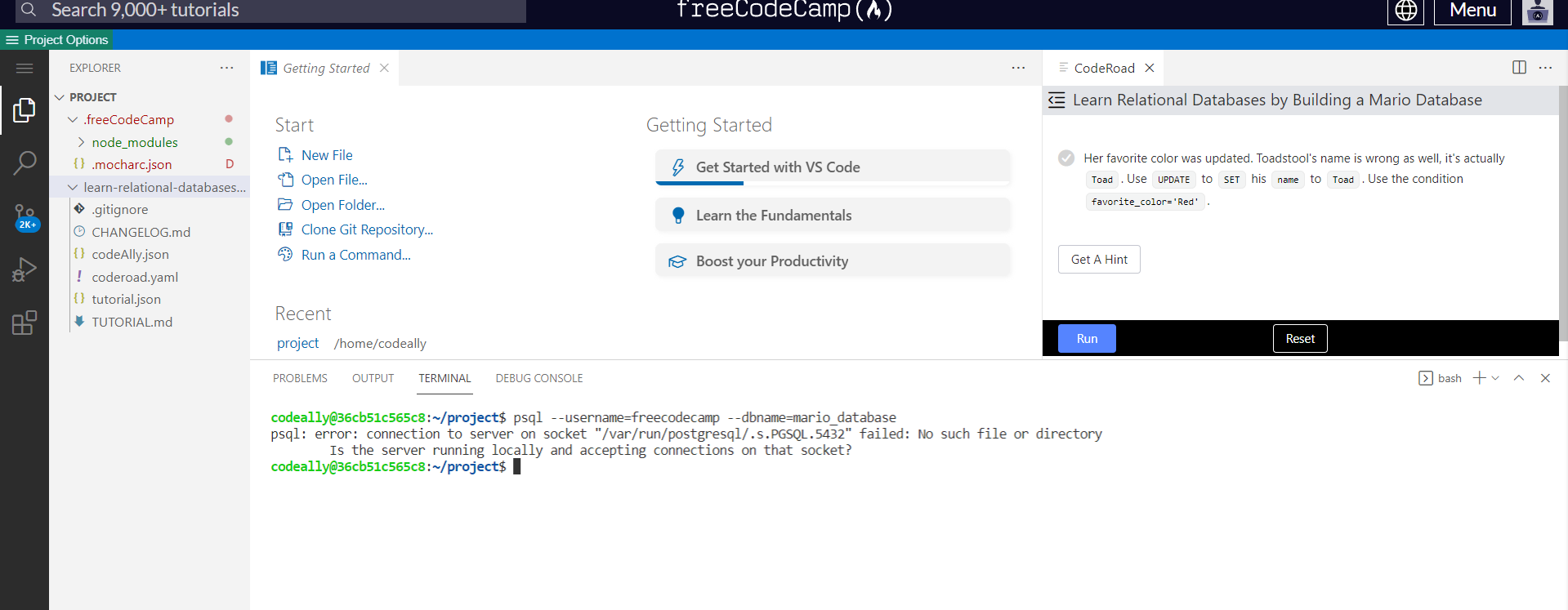 I can't connect to the server - freeCodeCamp Support - The freeCodeCamp Forum