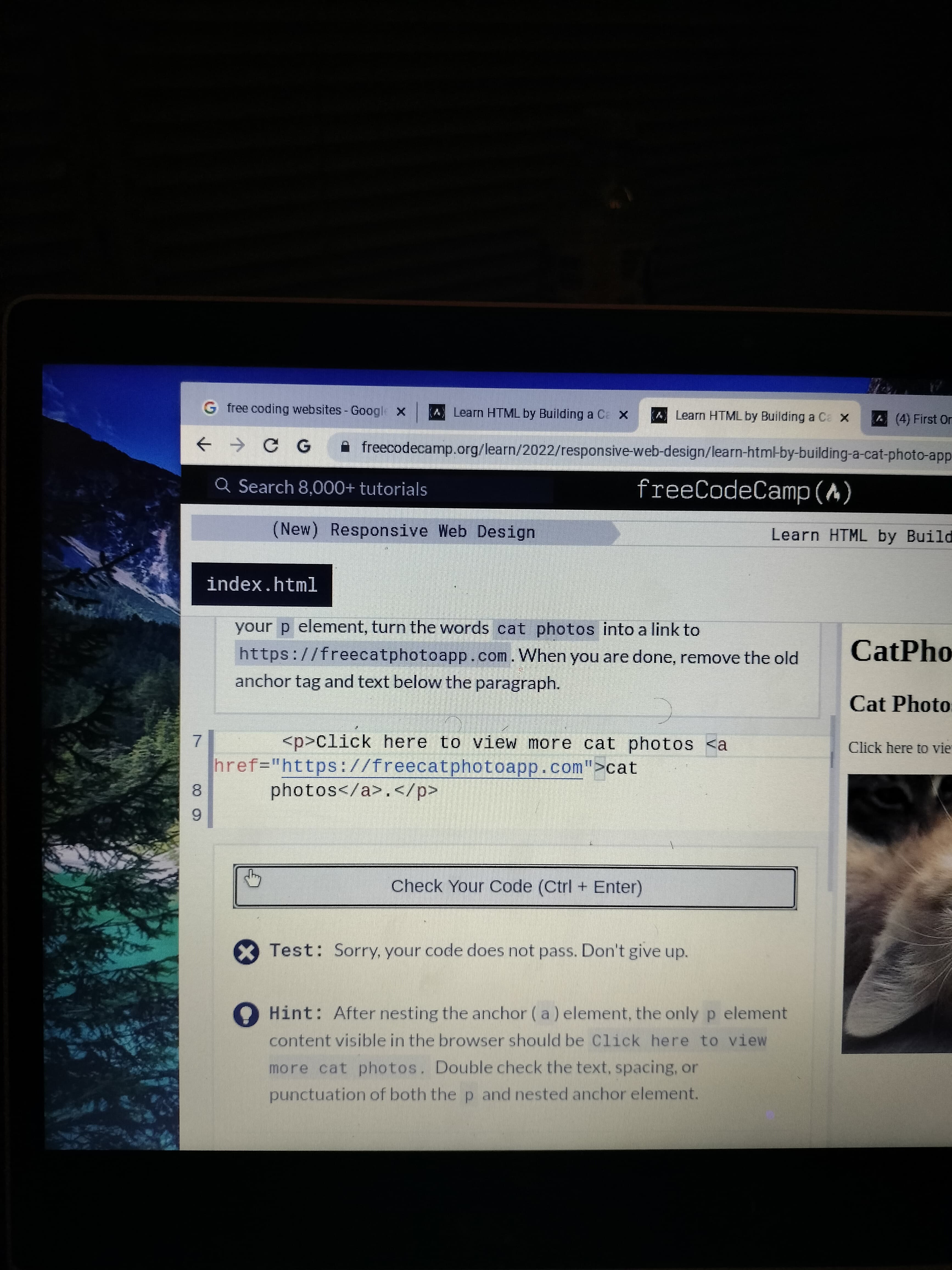 Learn HTML by Building a Cat Photo App - Step 12 - HTML-CSS - The ...