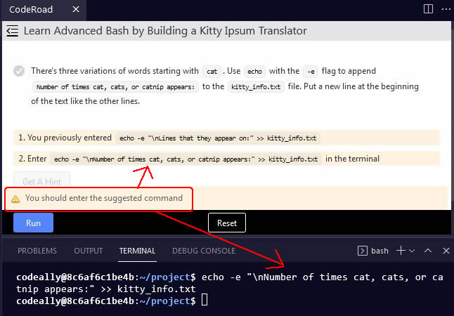 Starting virtual server not work tutorial Relational Database - freeCodeCamp Support - The ...