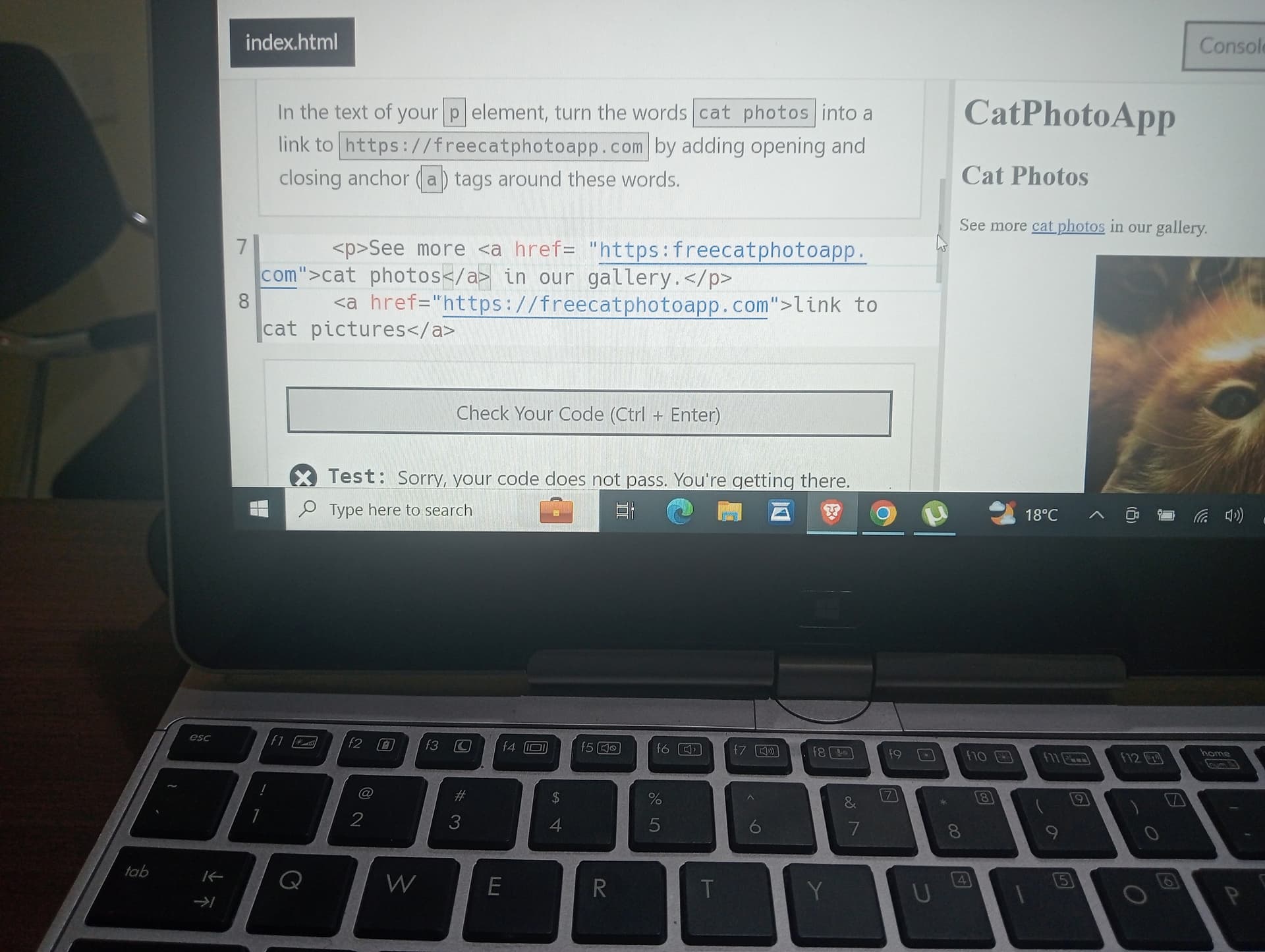Learn HTML by Building a Cat Photo App - Step 12 - HTML-CSS - The ...