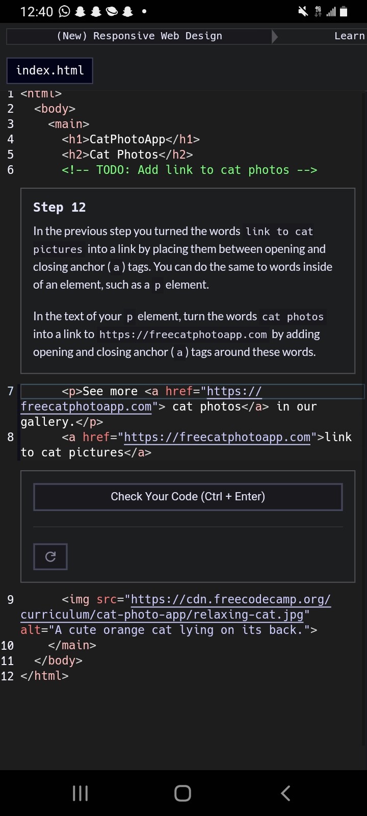 Learn HTML by Building a Cat Photo App - Step 12 - HTML-CSS - The freeCodeCamp Forum