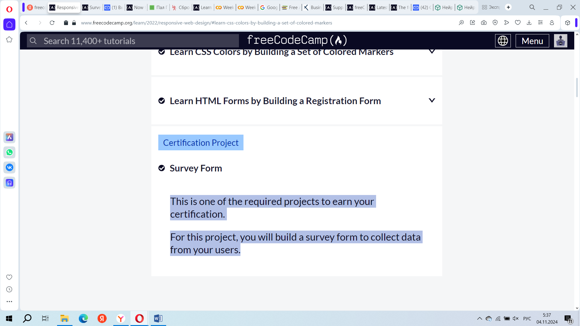 Survey Form - Build a Survey Form - Page 2 - HTML-CSS - The freeCodeCamp Forum