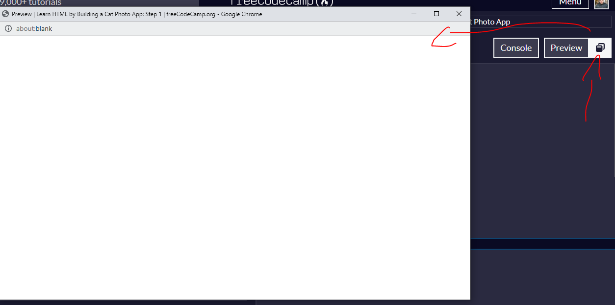 Bug In The Button That Opens The Screen In Full Size Freecodecamp Support The Freecodecamp Forum