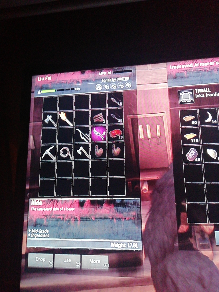 Inventory itens bug - PlayStation Discussion - Funcom Forums