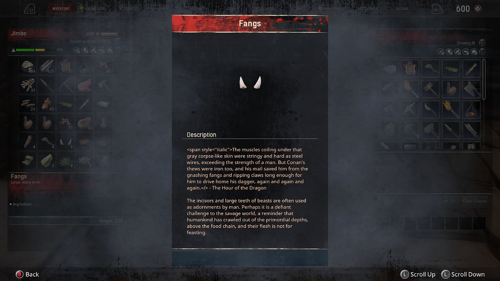 Item descriptions formatting not showing correctly - Xbox Bug Reports - Funcom Forums
