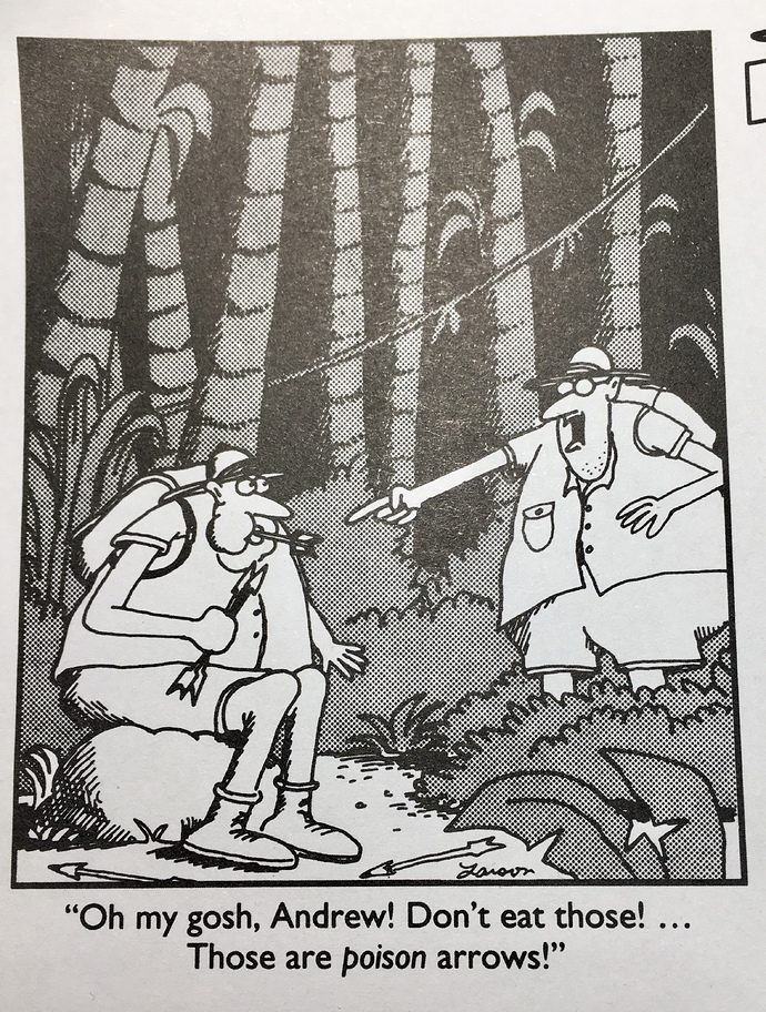 Farside - Poison Arrows - made me laugh :) - Creative Corner - Funcom ...