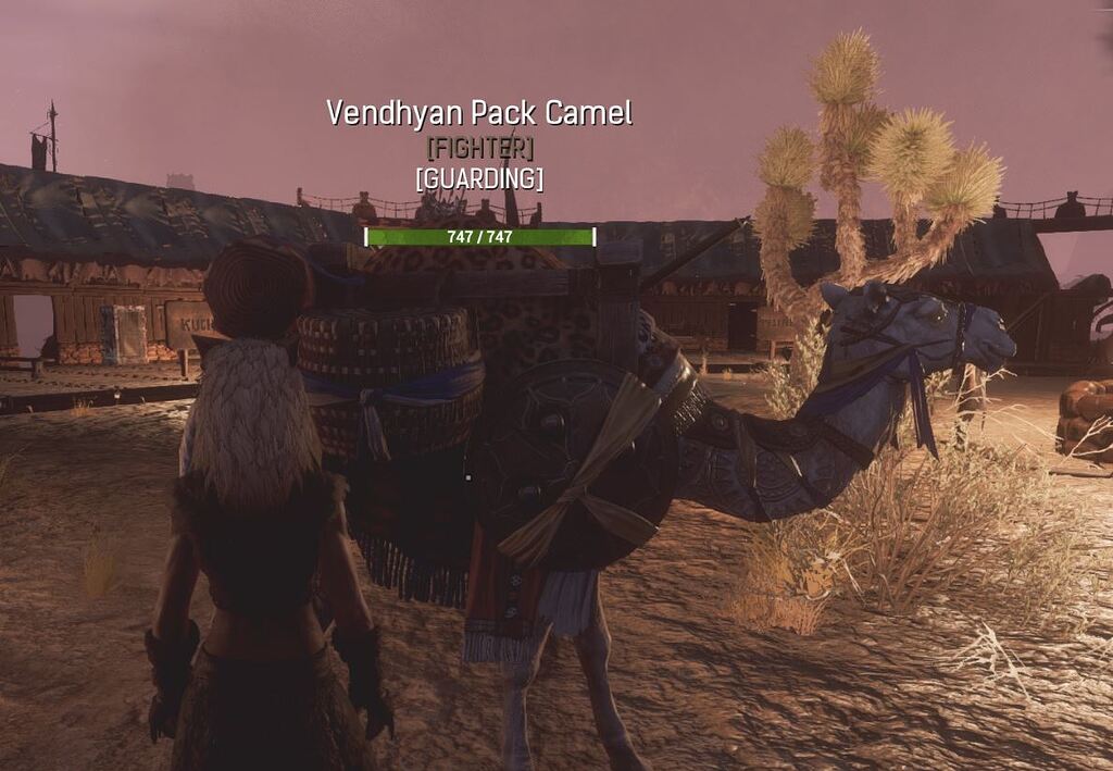 Super low HP from Vendhyan Pack Camel - PC Bug Reports - Funcom Forums