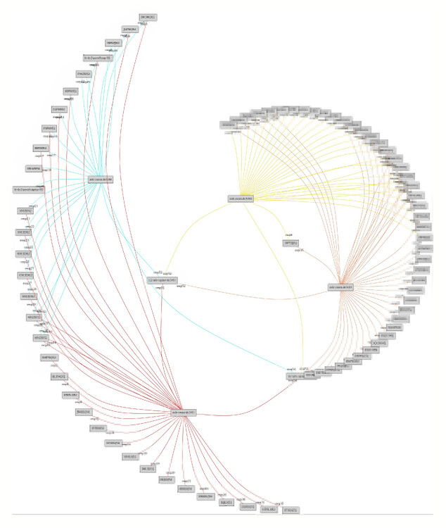 How to generate an automatic diagram? - Help - Graphviz