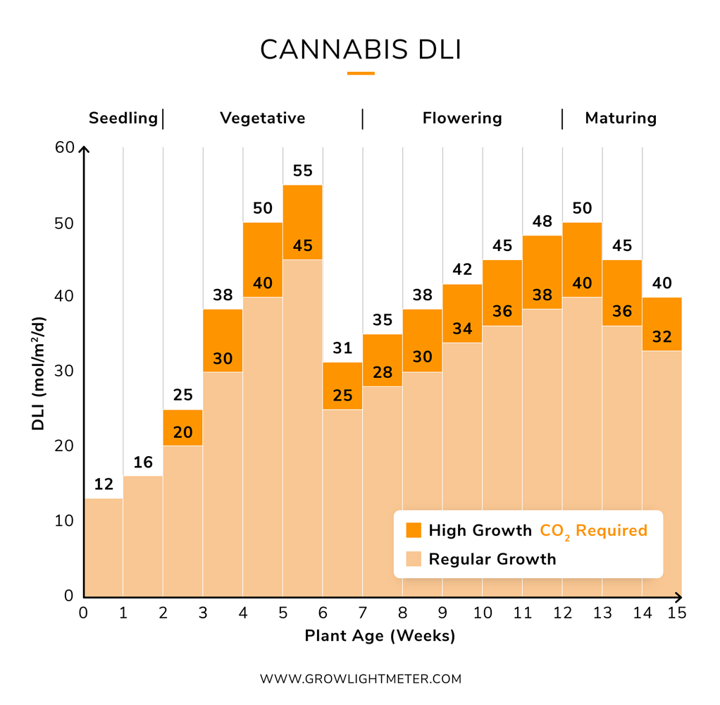 Lighting Techniques Flowering I Love Growing Marijuana Forum