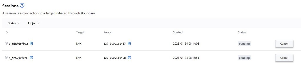 Session view in boundary desktop - Boundary - HashiCorp Discuss