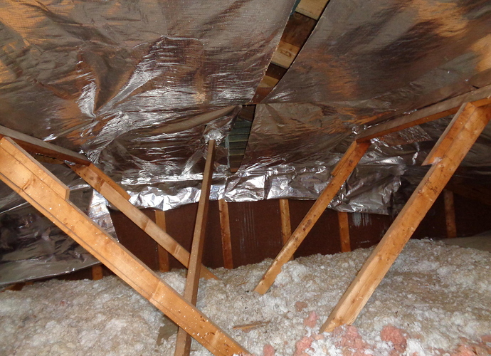 Attic inspection purlin brace question - Roofing Inspections ...
