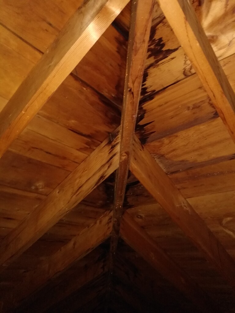 Previous or Current - InterNACHI®️ Forum