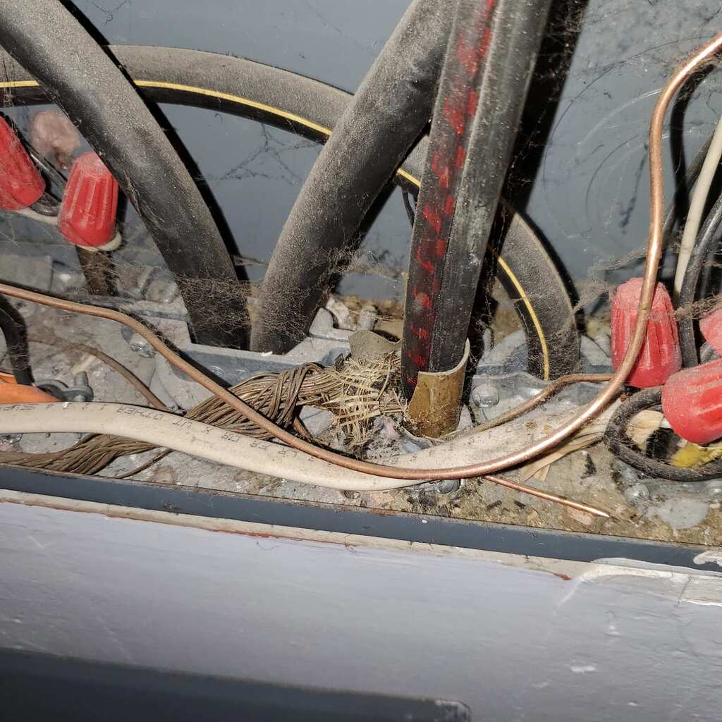 Individual conductors through panel - Electrical Inspections ...