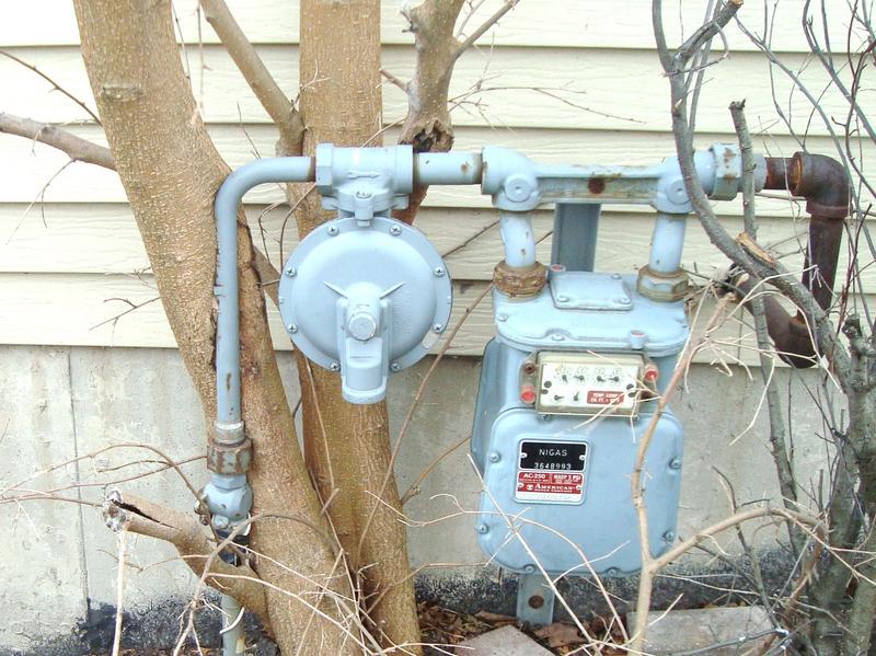 Tree vs. Gas Line - Exterior Inspections - InterNACHI®️ Forum