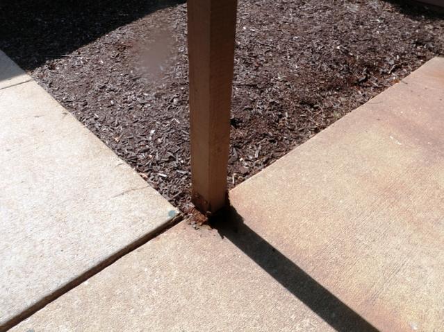 Four people hurt after deck collapses - Exterior Inspections ...