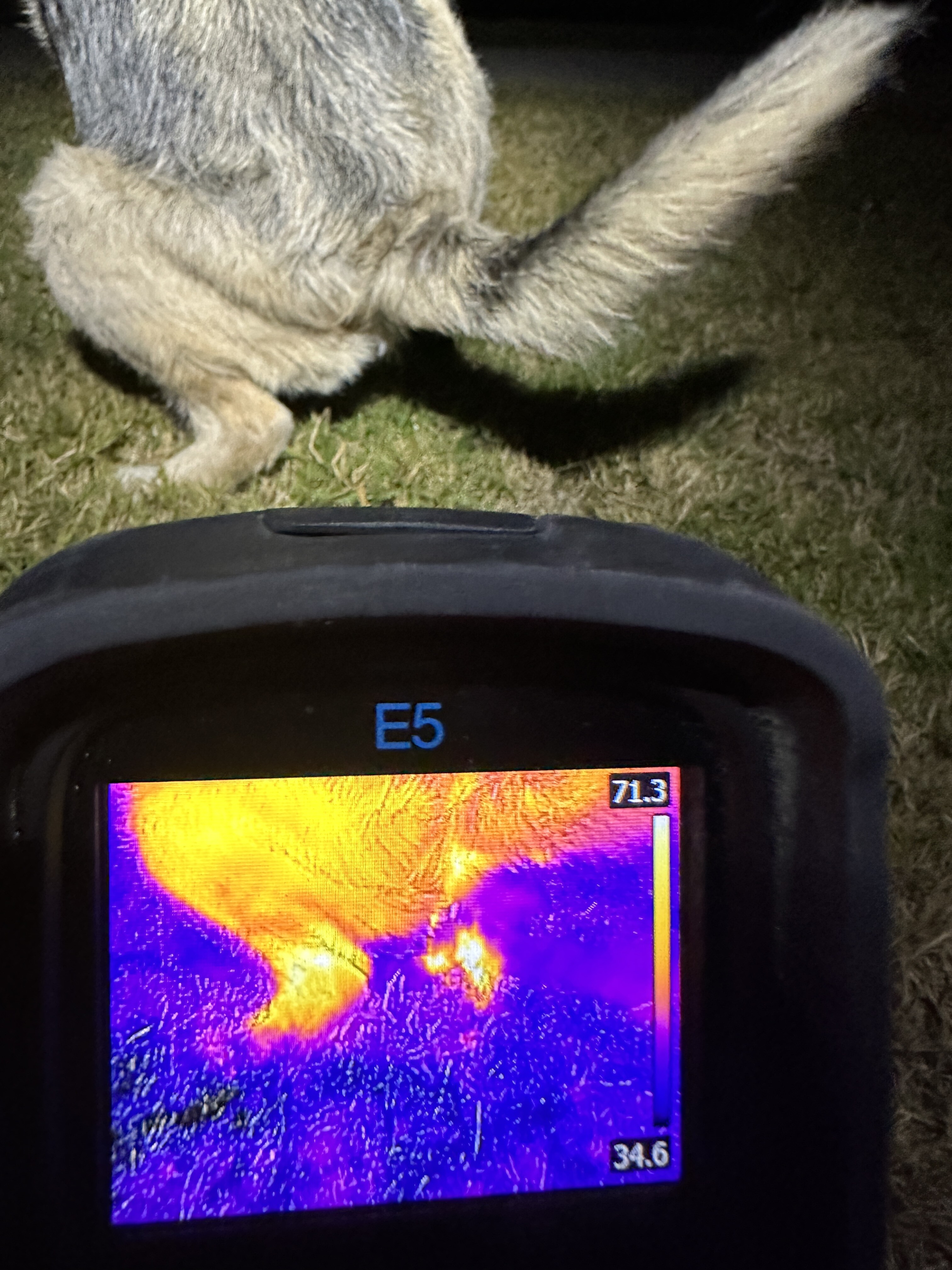 Random Photos - What have you shot lately (non-inspection) - Page 213 ...