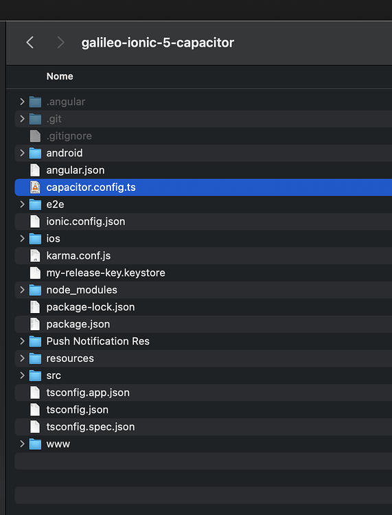 Ionic 6 default project white screen on Android 30 or below when using --prod - Ionic Framework ...