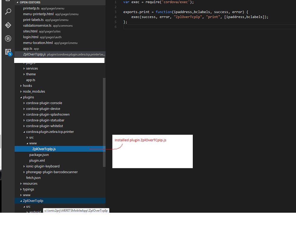 How to use custom plugin - ionic-v3 - Ionic Forum