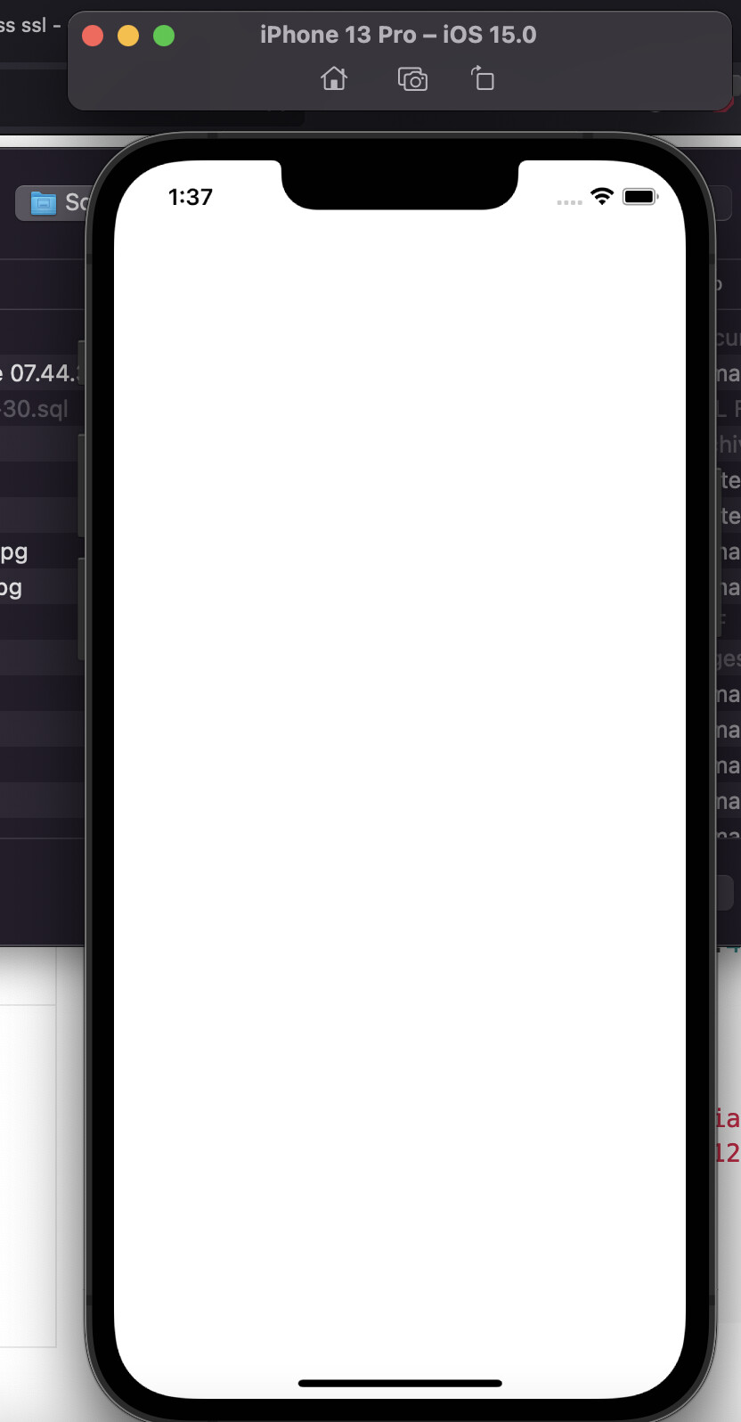 CSS_CHUNK_LOAD_FAILED: white page on iOS - Ionic Vue - Ionic Forum