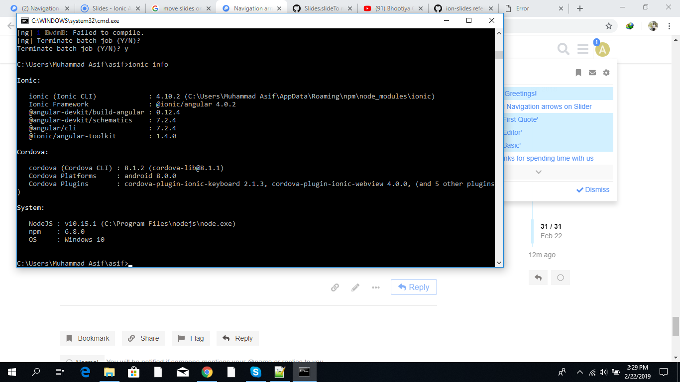 Navigation arrows on Slider - Page 2 - ionic-v3 - Ionic Forum