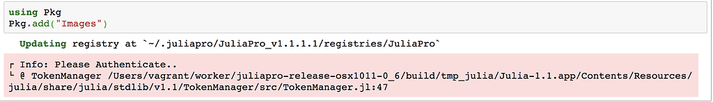 I am stuck at "Please Authenticate" - General Usage - Julia Programming Language