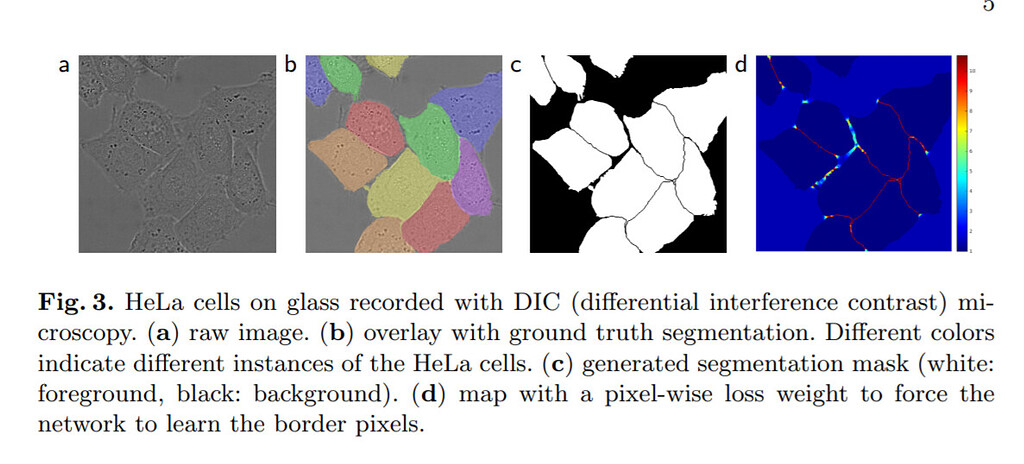 Pixelwise loss weights in Flux? - Machine Learning - Julia Programming ...