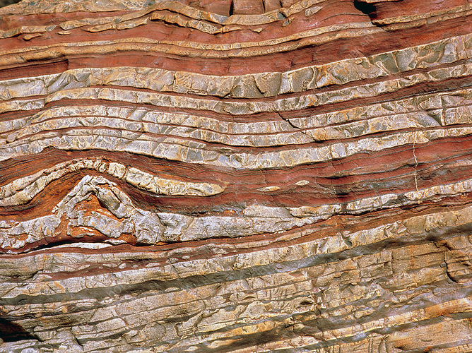 Building 3D strata patterns - Grasshopper - McNeel Forum