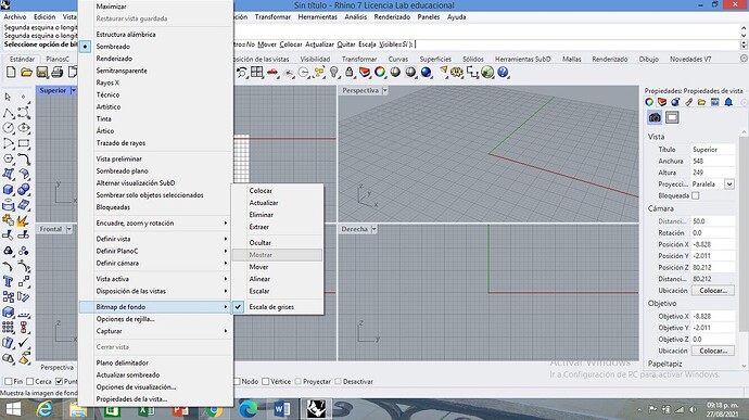 El bitmap de fondo aparece como un cuadro blanco - Rhino for Windows ...